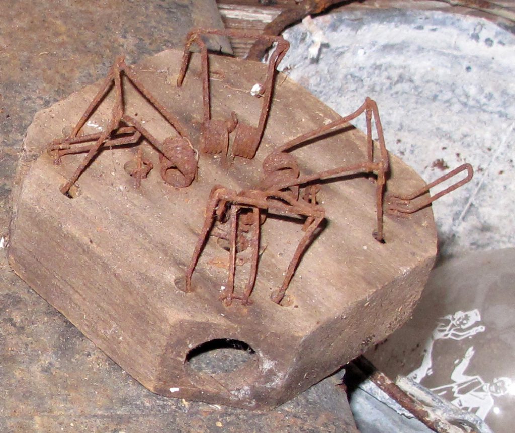 2021/22 Bahamian Crawfish Season Opens - Abaco Sun