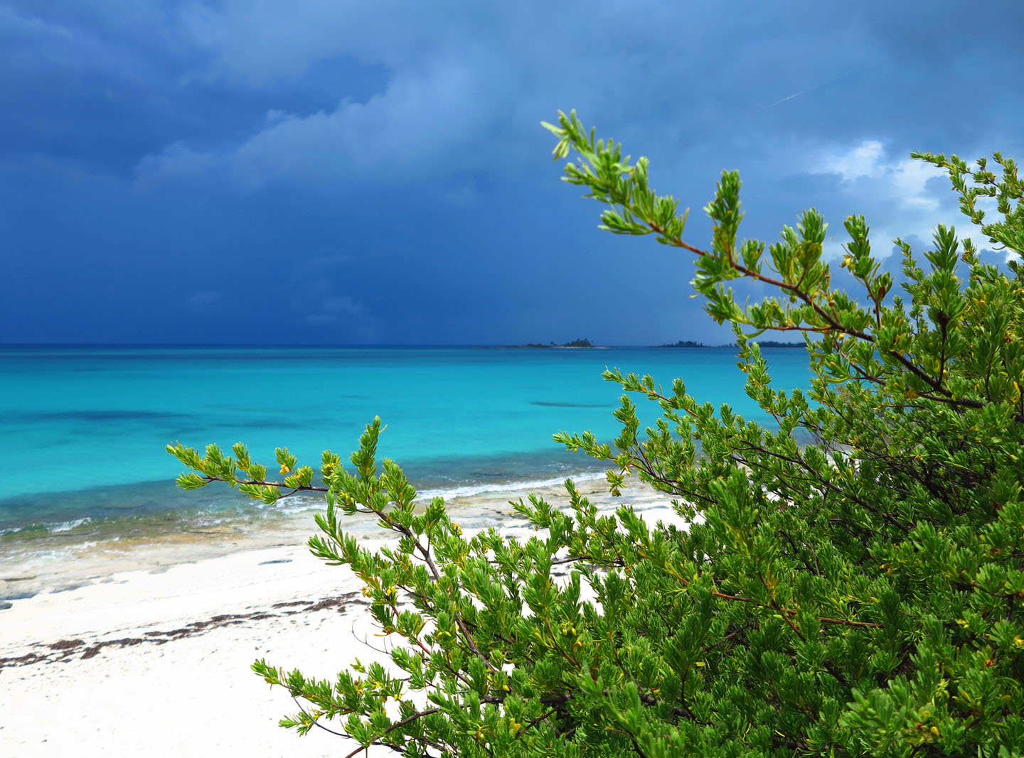 Daily Photo - September 16, 2015 - Abaco Sun