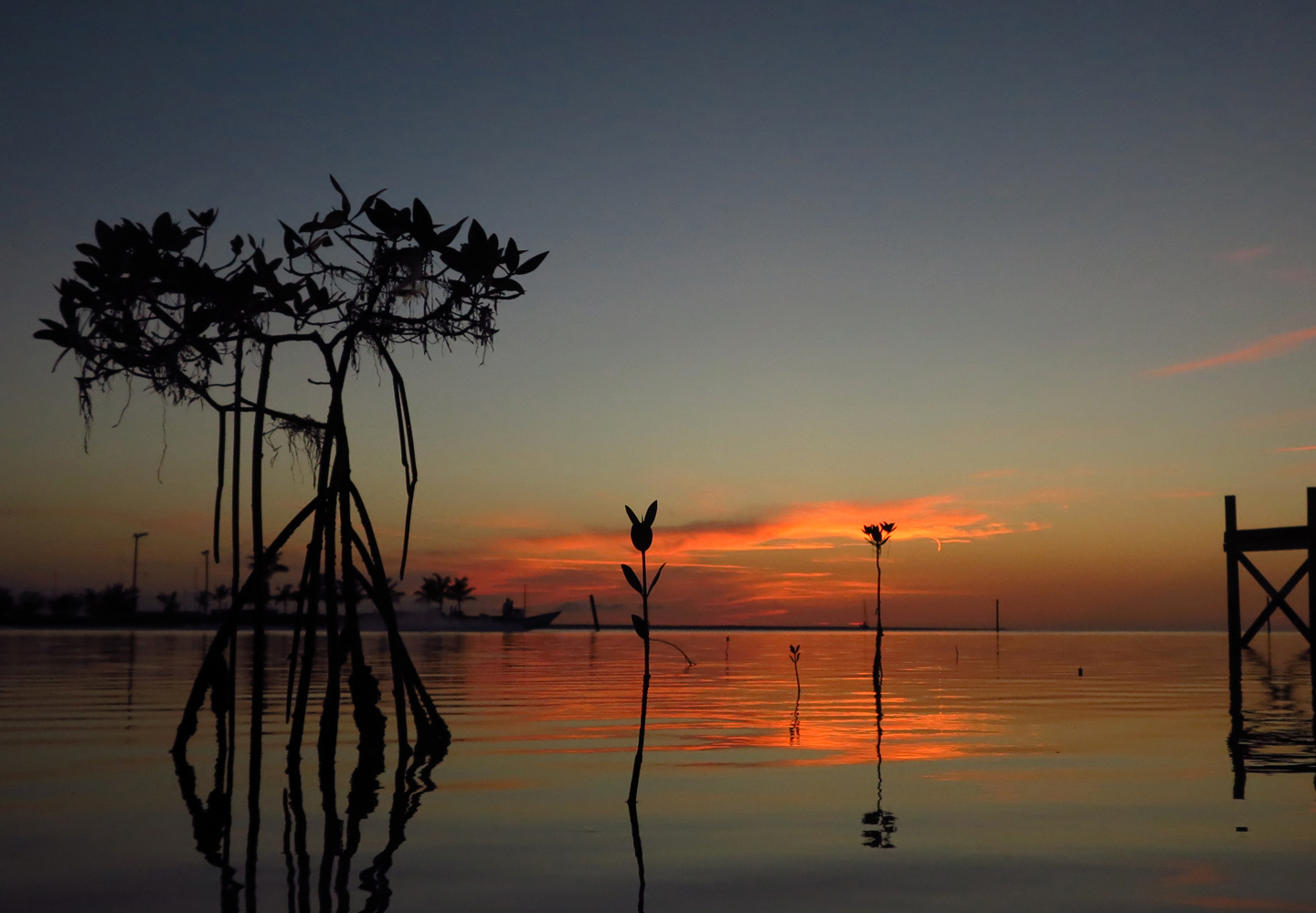 Daily Photo - November 22, 2017 - Abaco Sun
