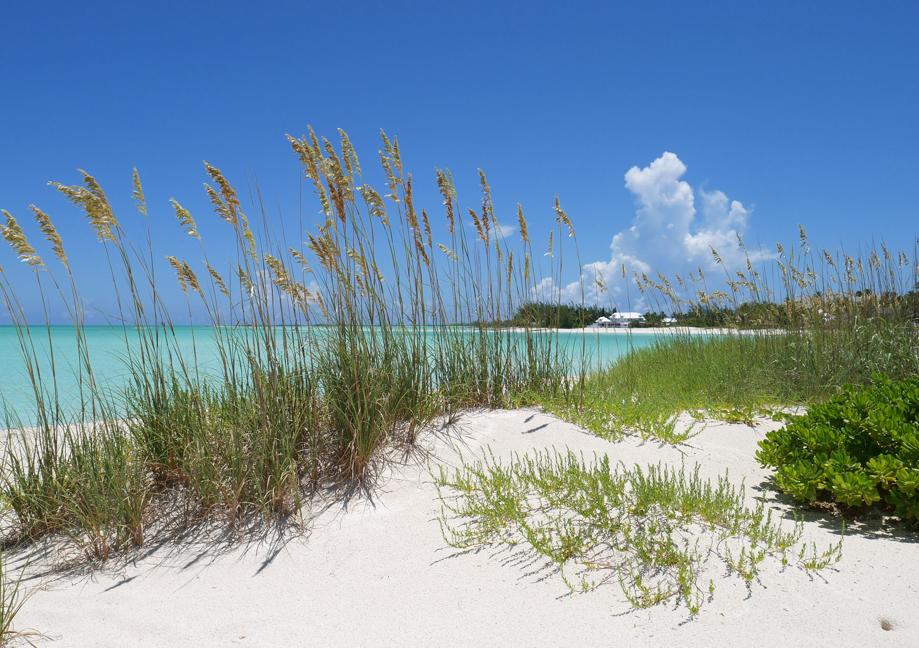 Treasure Cay – Six Months Later – Abaco Sun