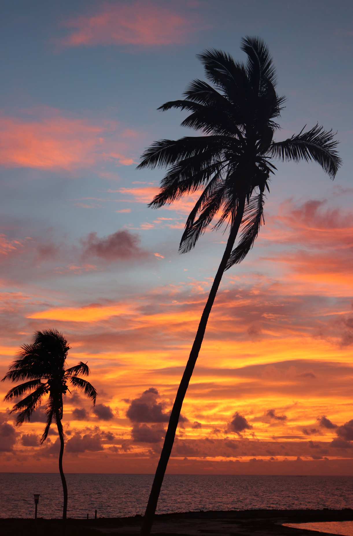 Daily Photo - July 21, 2017 - Abaco Sun