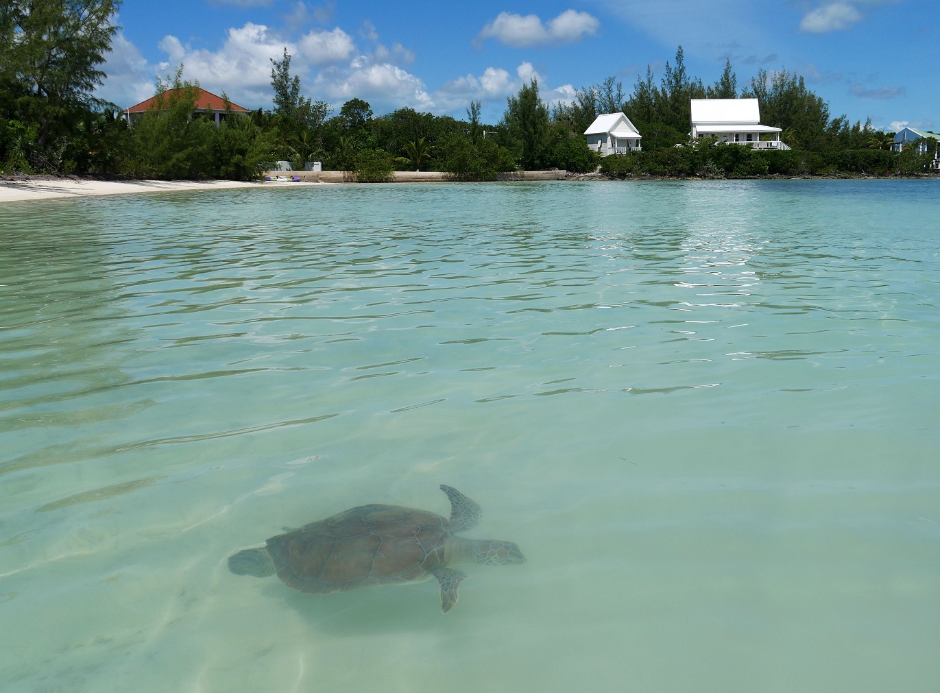 Daily Photo - August 21, 2018 - Abaco Sun